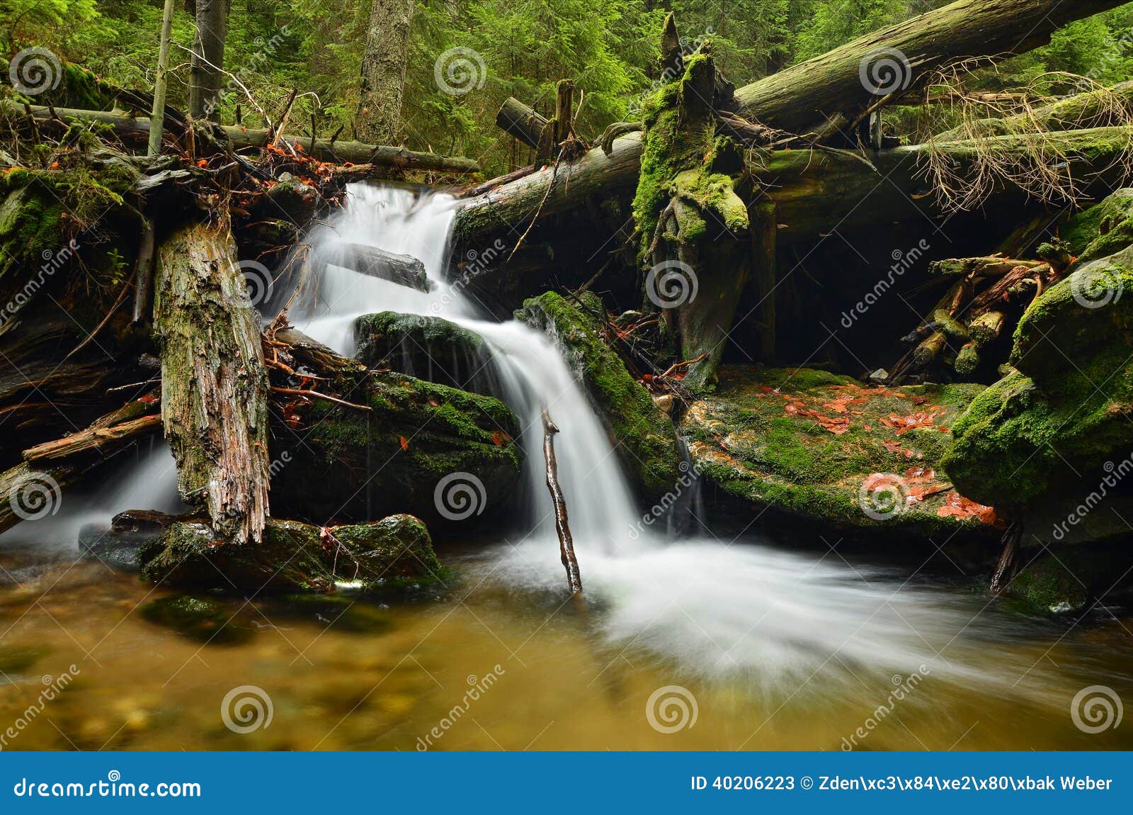 Cascade in the forest stock image. Image of cascade, wood - 40206223