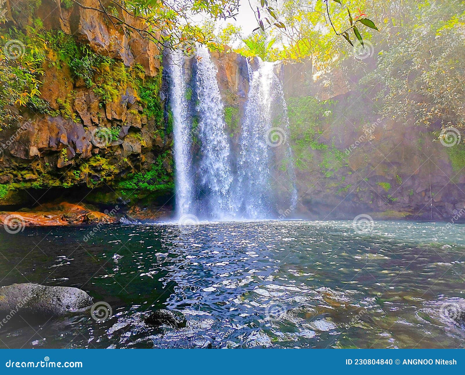 Cascade leon mauritius stock photo. Image of tree, rock - 230804840