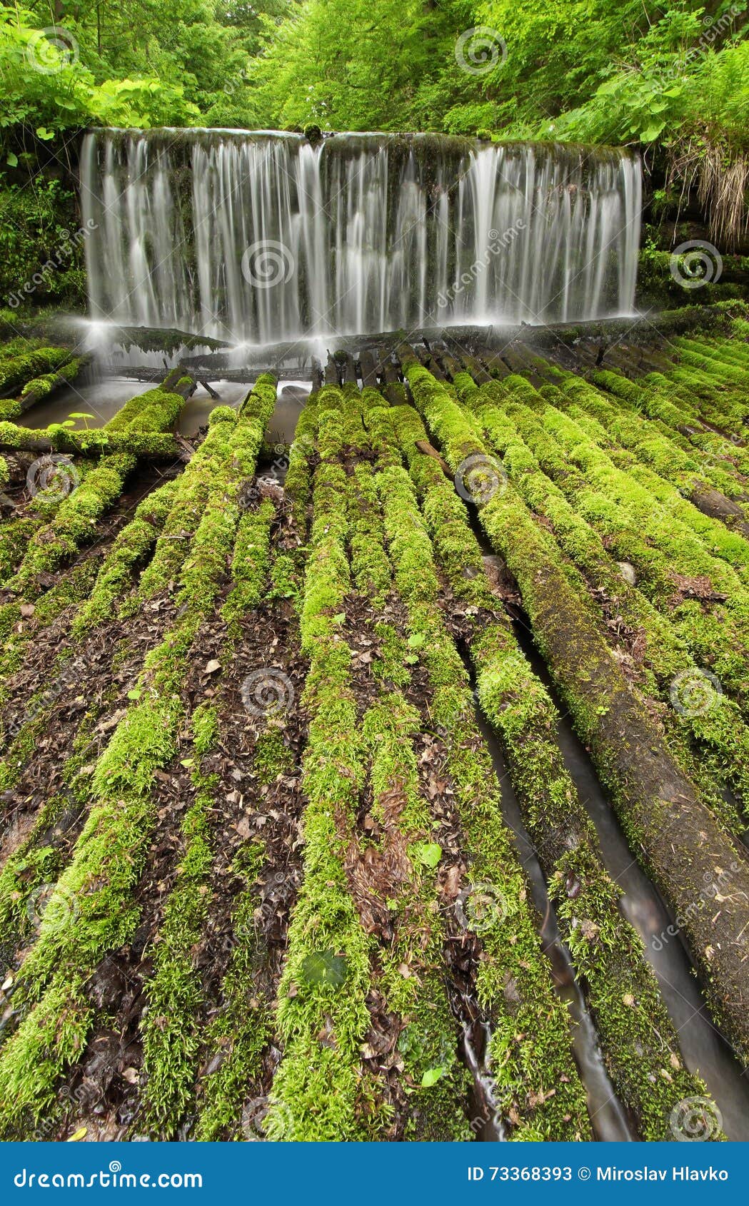 Cascade with logs stock image. Image of cataract, waterfall - 73368393
