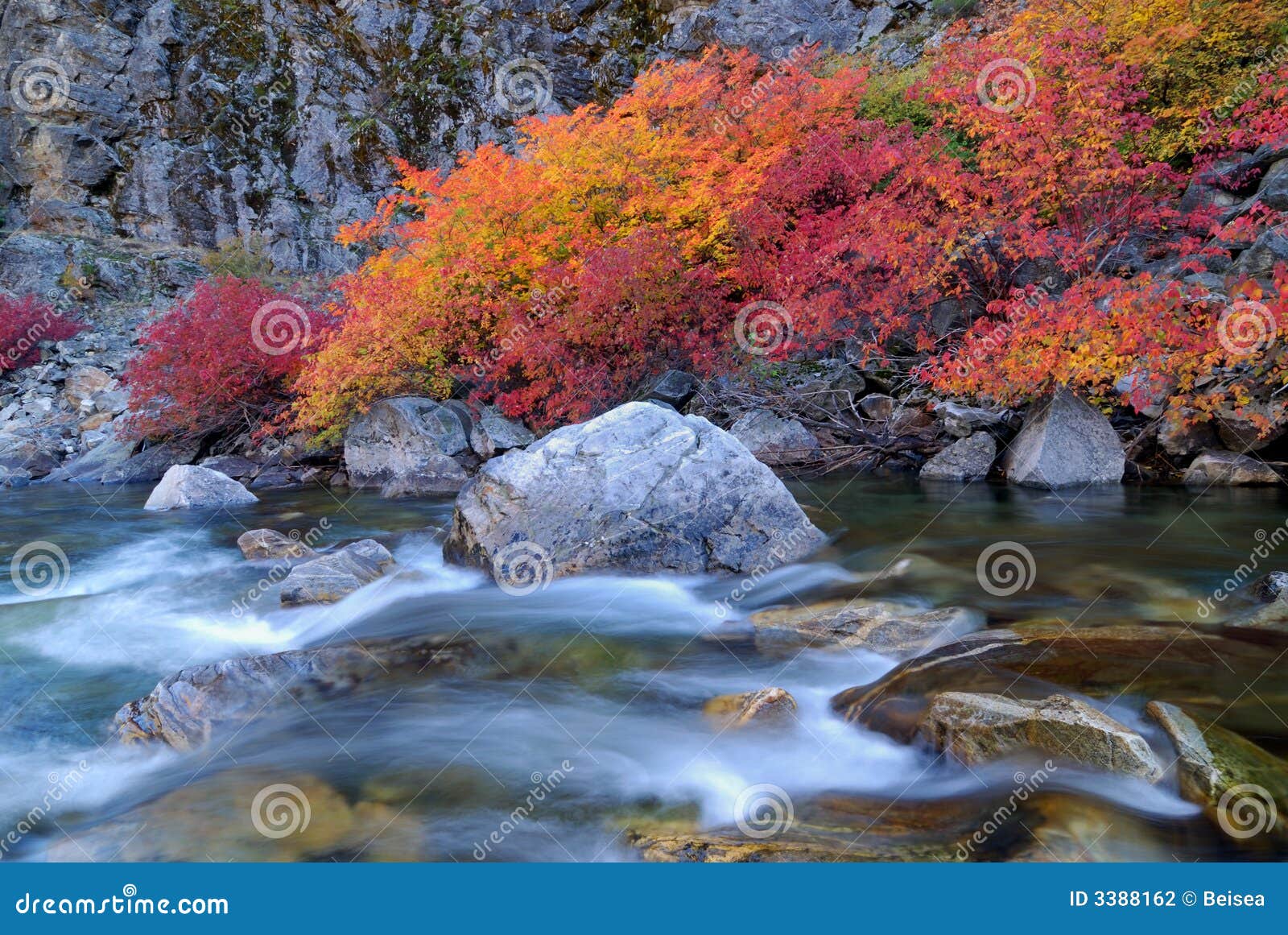 Cascade Loop Creek in fall stock photo. Image of cascade - 3388162