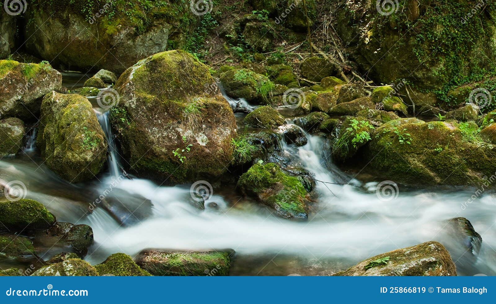 Cascade with Mossy Rocks in Forest Stock Image - Image of brown, plant ...