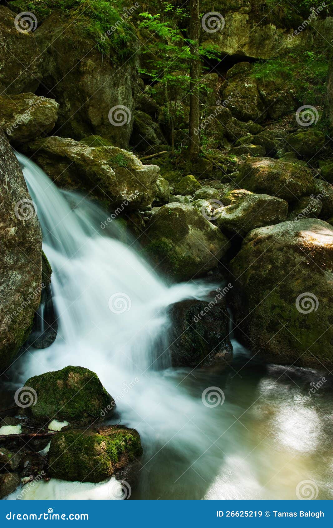 Cascade with Mossy Rocks in Forest Stock Image - Image of beautiful ...