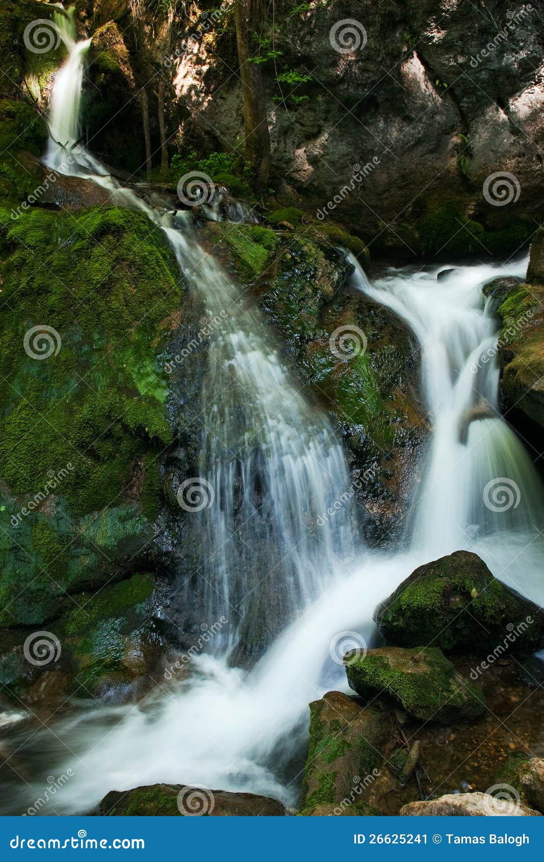 Cascade with Mossy Rocks in Forest Stock Image - Image of environment ...