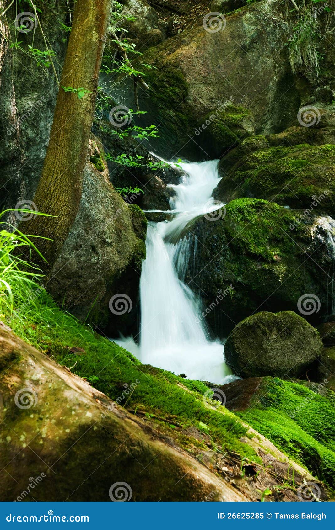 Cascade with Mossy Rocks in Forest Stock Image - Image of peaceful ...