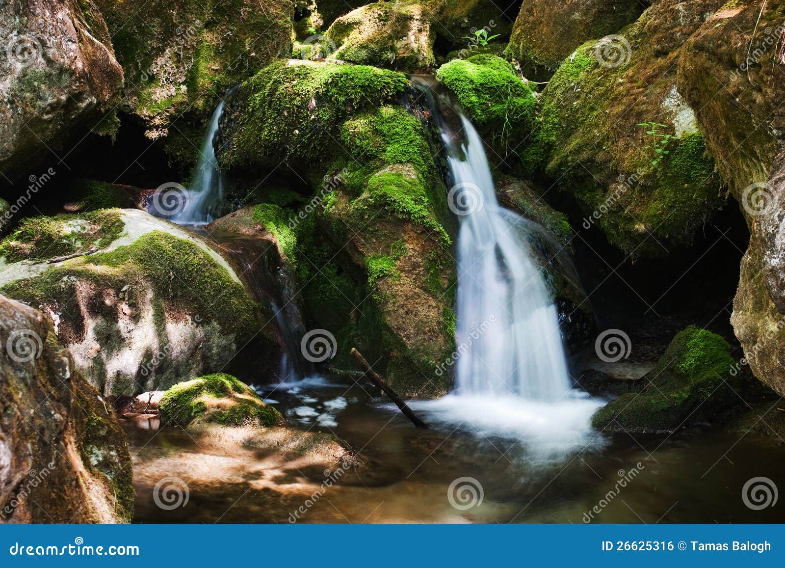Cascade with Mossy Rocks in Forest Stock Photo - Image of plant, moss ...
