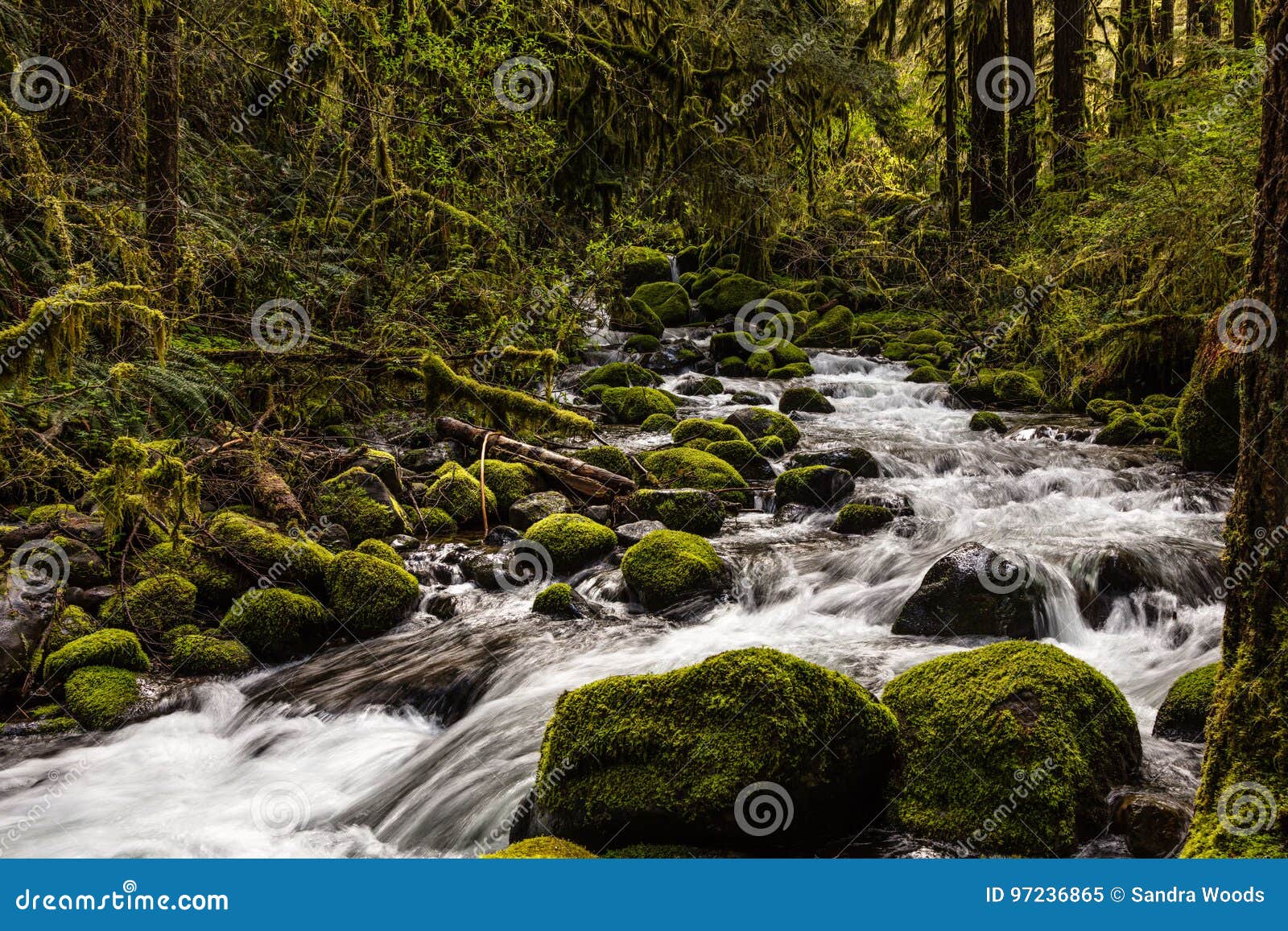 Cascade Mountain Stream in Spring Stock Image - Image of blur, splash ...