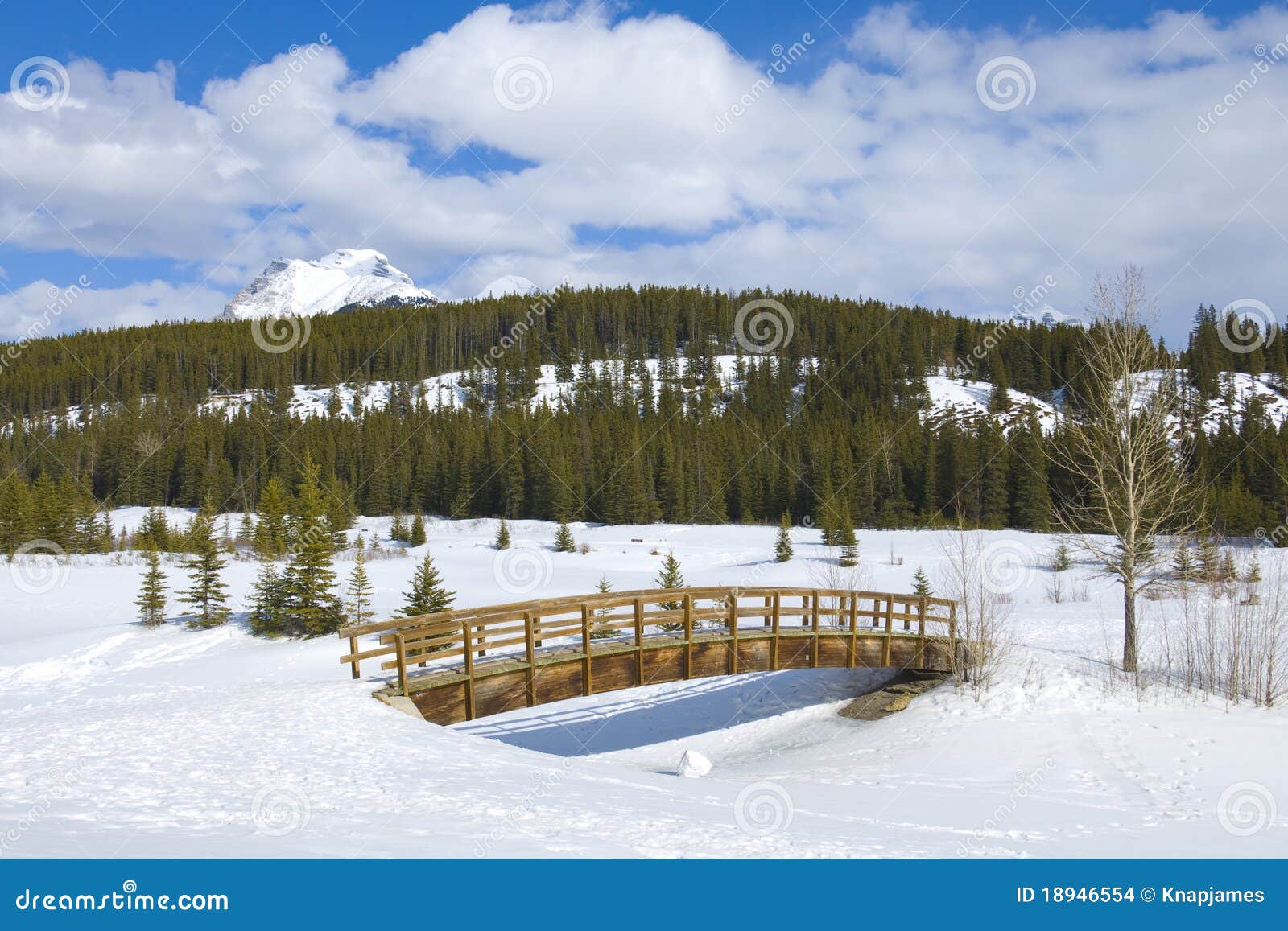 Cascade Ponds in the Canadian Rockies Stock Photo - Image of peaceful ...