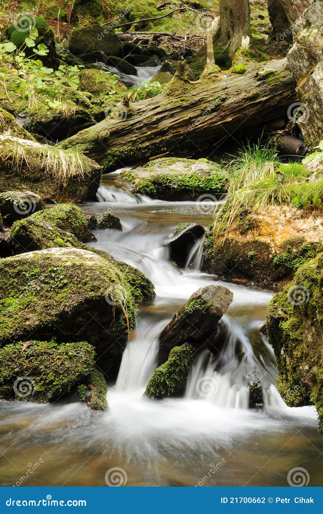 Cascade on the river stock photo. Image of trunk, moravia - 21700662