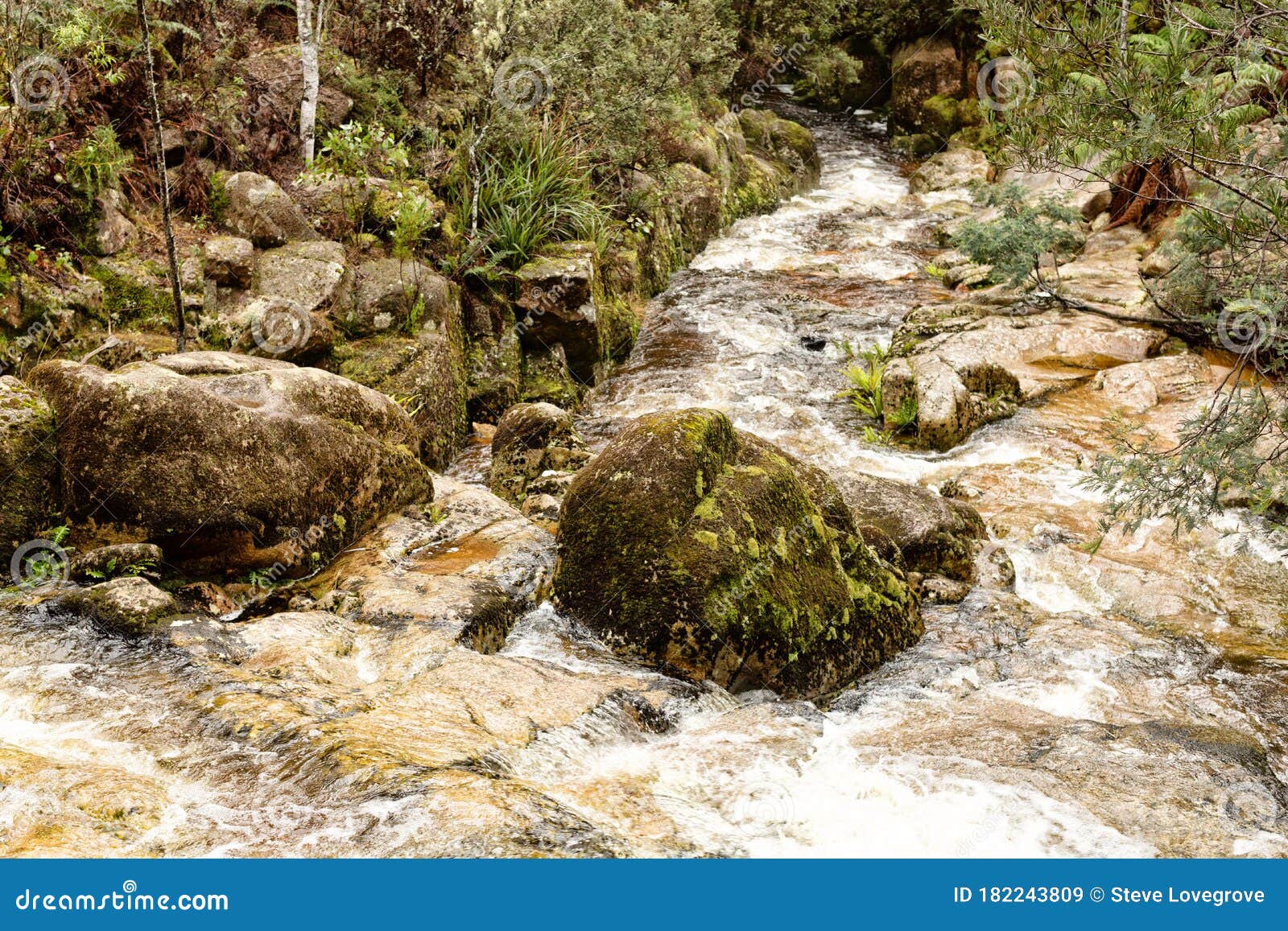 Cascade River Cascading Over Rocks Stock Image - Image of australia ...