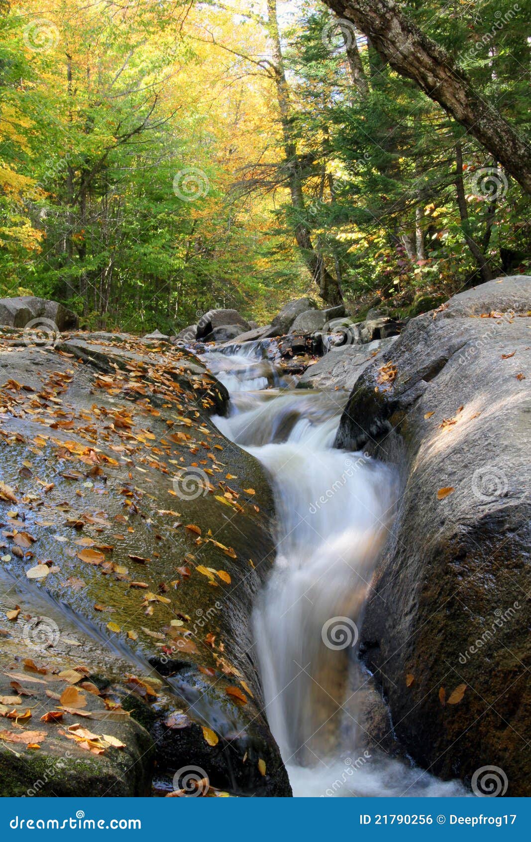 Cascade River Flow with Fall Foliage Stock Photo - Image of flow, fresh ...