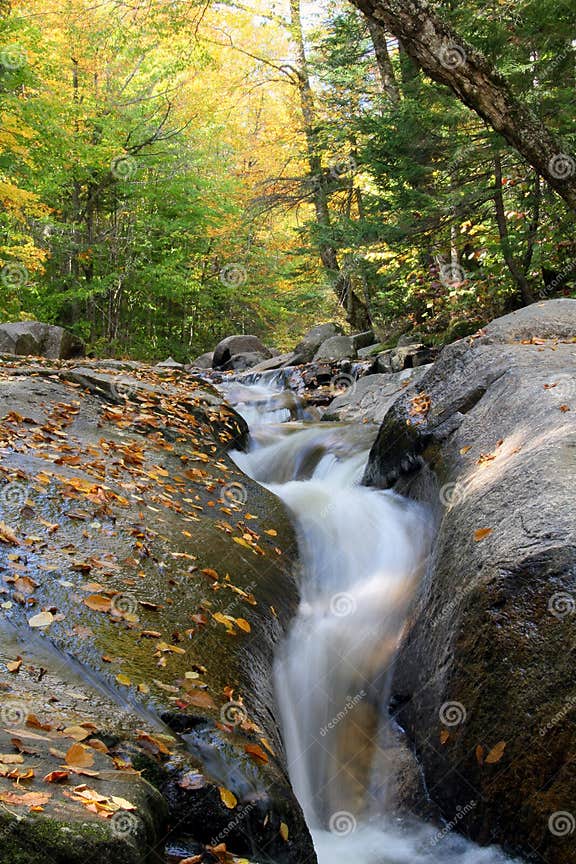 Cascade River Flow with Fall Foliage Stock Photo - Image of flow, fresh ...