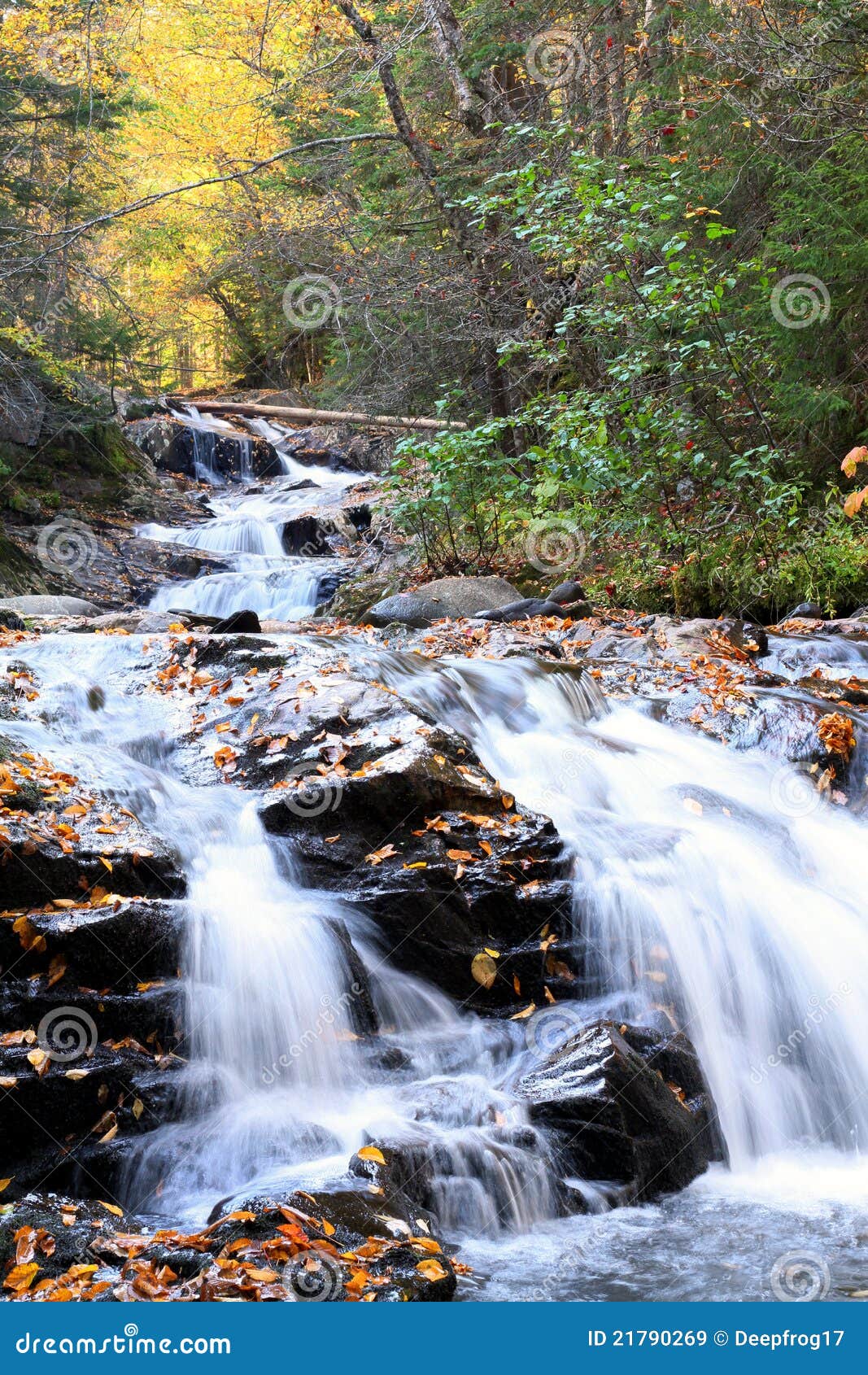 Cascade River Flow with Fall Foliage Stock Image - Image of foliage ...