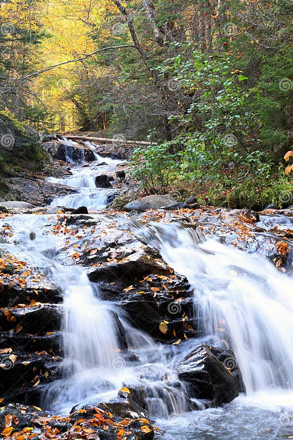 Cascade River Flow with Fall Foliage Stock Image - Image of foliage ...
