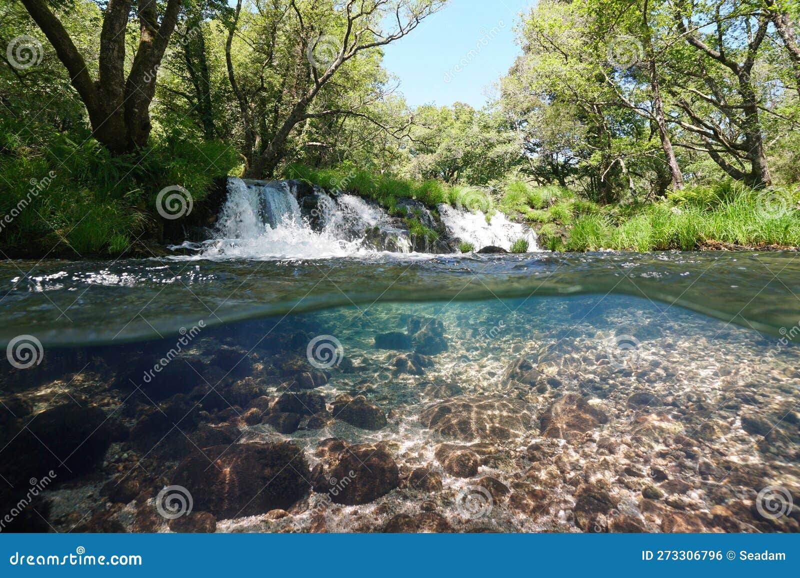 Cascade on a River Over and Under Water Surface Stock Photo - Image of ...