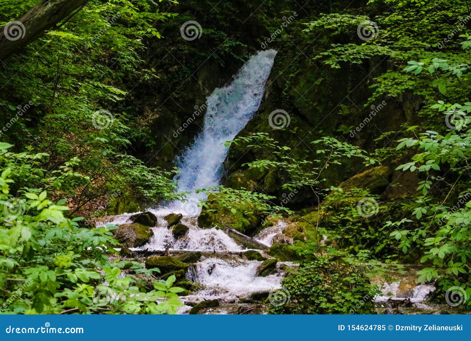 Cascade of a Small Waterfall Flowing through the Forest Stock Image ...