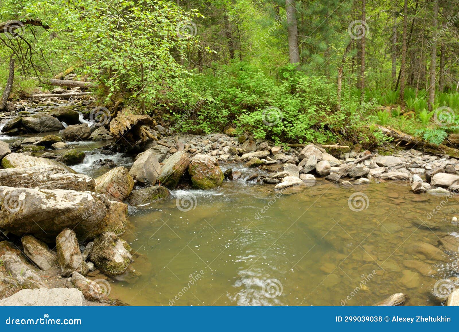 A Cascade of Small Waterfalls Flows Down a Mountain Stream into a Wide ...