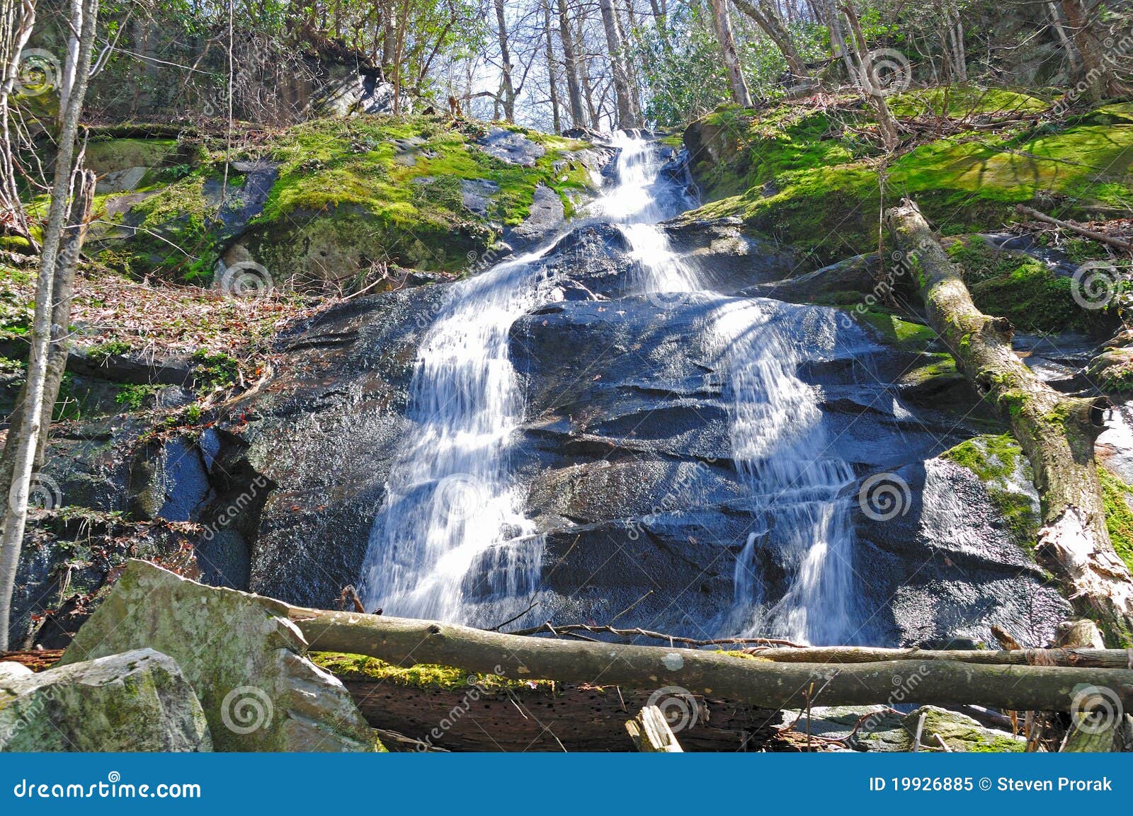 Cascade in the Smokies stock image. Image of branch, mountains - 19926885