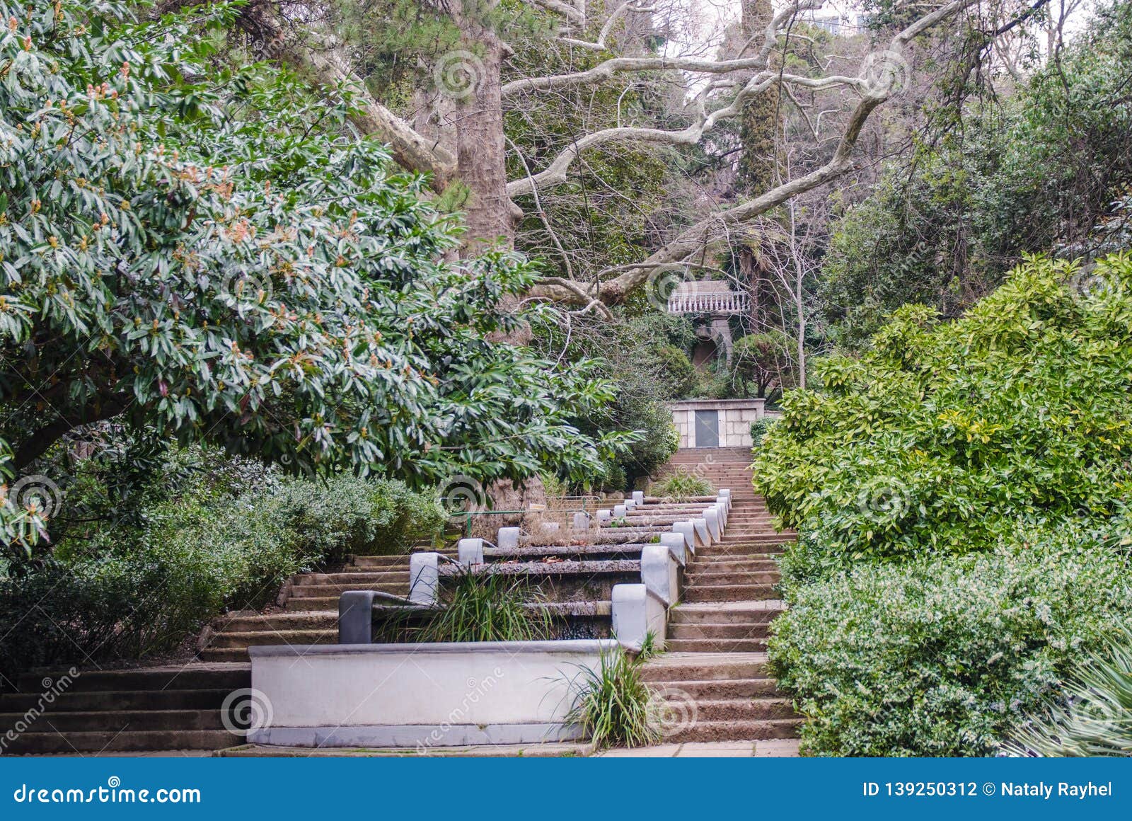 Cascade and steps stock photo. Image of flow, park, pool - 139250312