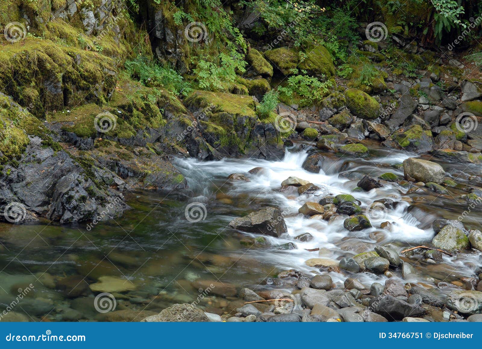 Cascade Stream stock image. Image of coast, river, states - 34766751