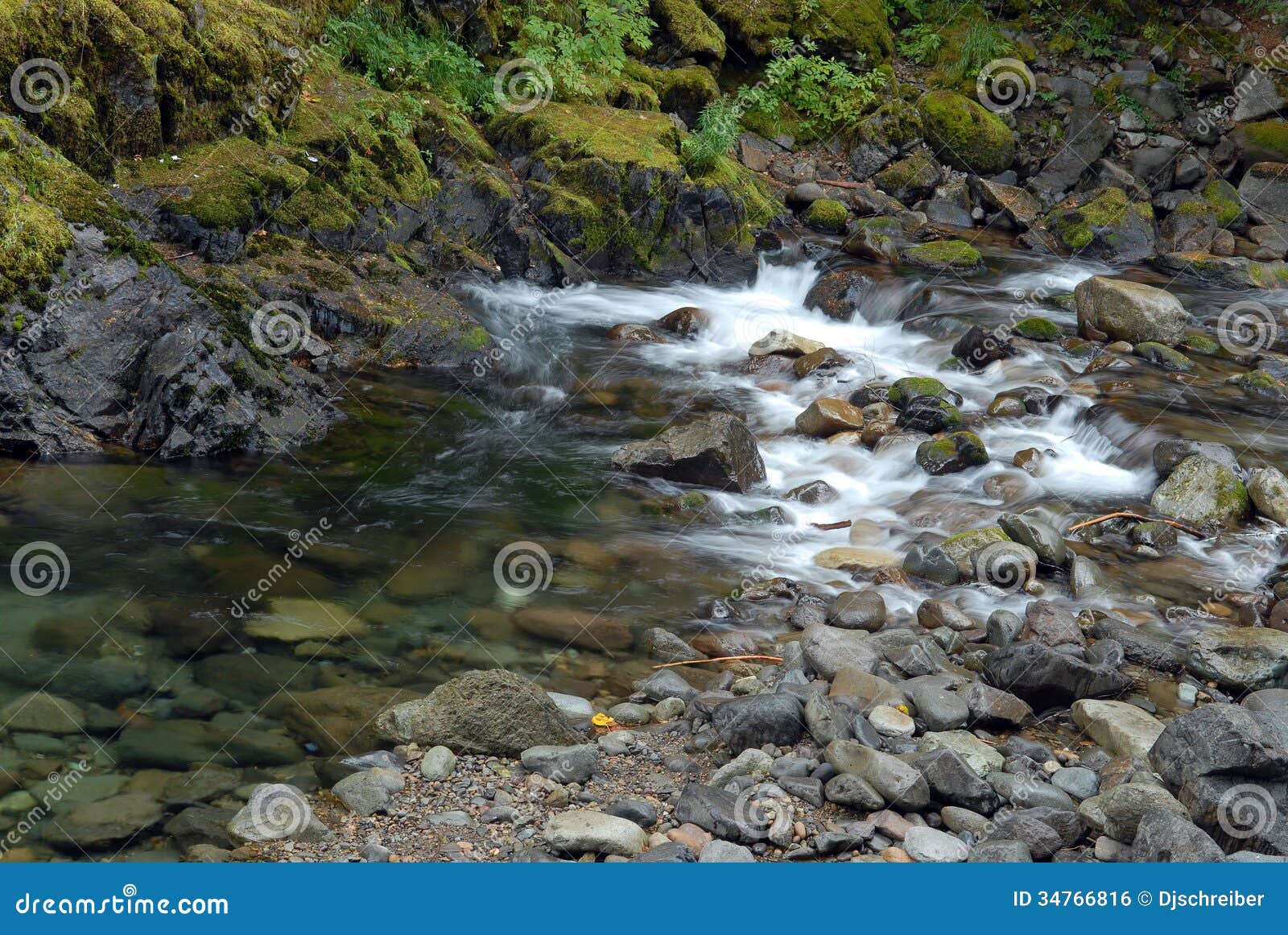 Cascade Stream stock photo. Image of forks, northwest - 34766816