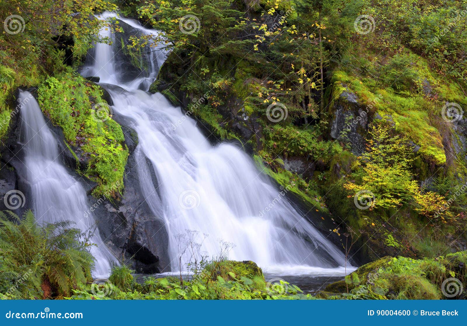 Cascade, Triberg, Forêt Noire, Allemagne Photo stock - Image du endroit ...
