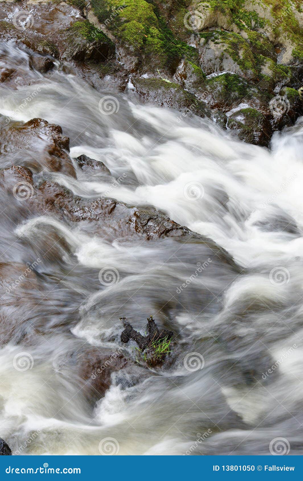 Cascade water stock photo. Image of rain, vancouver, nature - 13801050