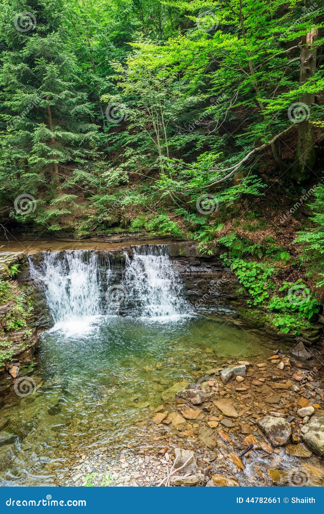 Cascade Water in the Mountain Forests Stock Image - Image of landscape ...
