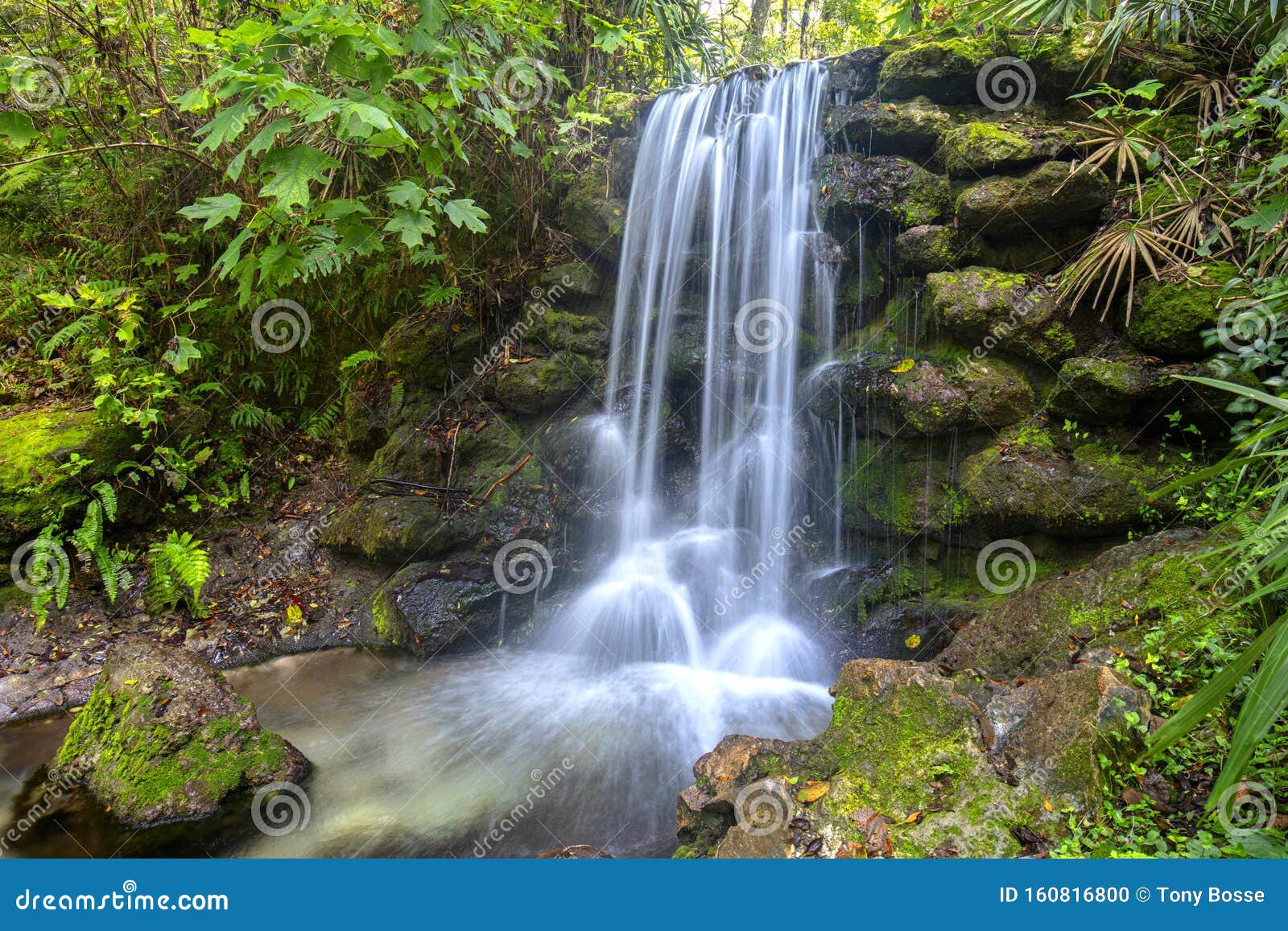 Cascade, Waterfall in a Forest Stock Photo - Image of mountains ...