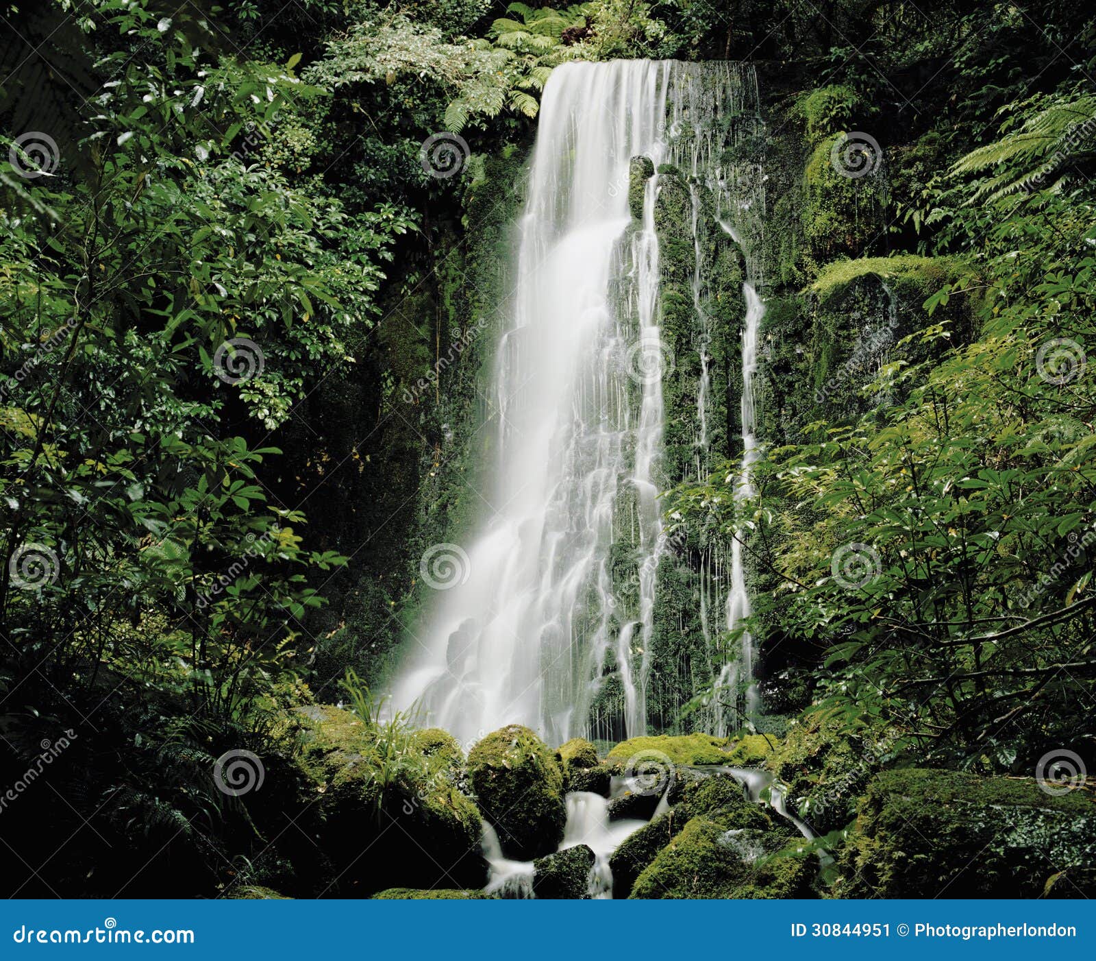Cascade Waterfall in Rainforest Stock Image - Image of natural, lush ...