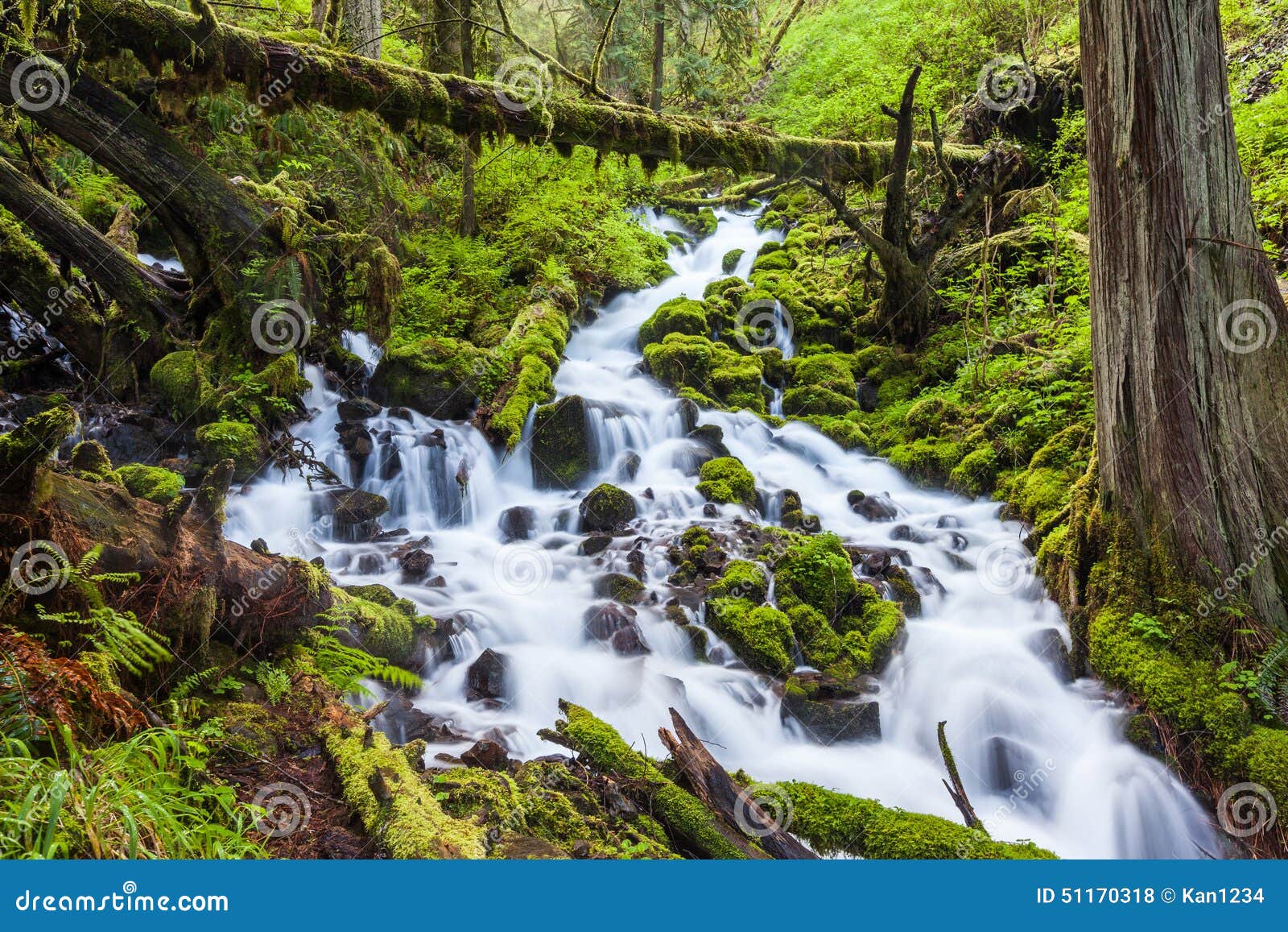 Cascade Waterfalls in Oregon Forest Hike Trail Stock Photo - Image of ...