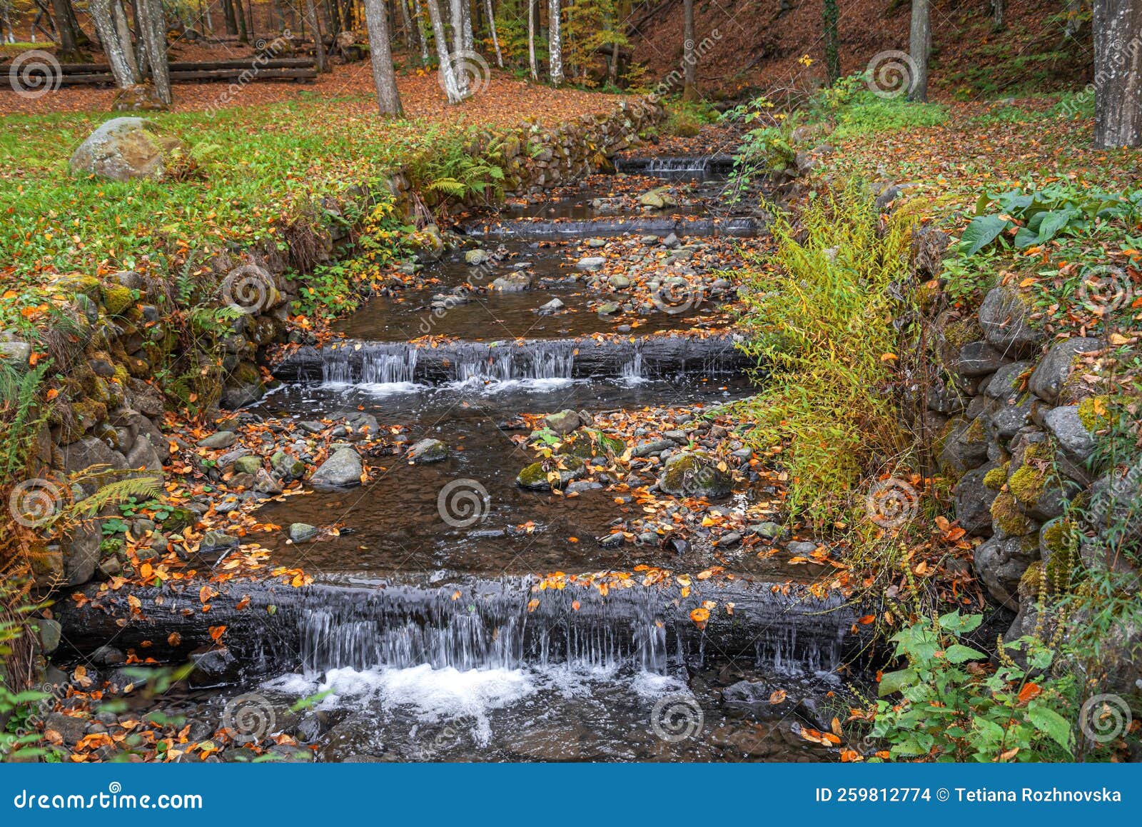 Cascade of Waterfalls in the River. Stock Photo - Image of peaceful ...