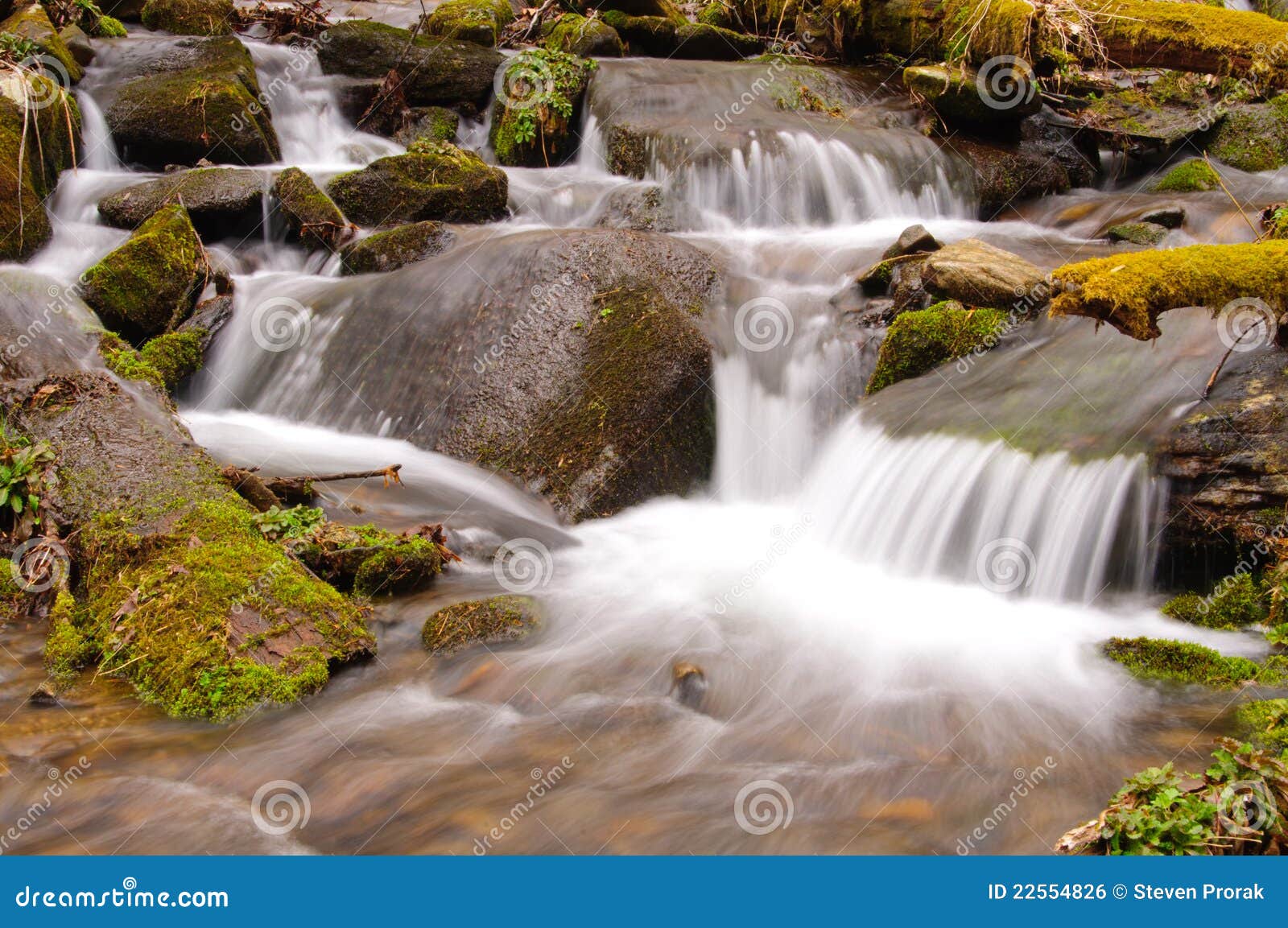 Cascade in the Wilds stock photo. Image of stream, quiet - 22554826