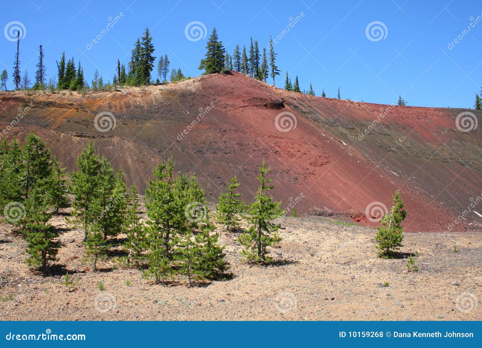 Cascades Cinder Quarry stock photo. Image of high, forest - 10159268