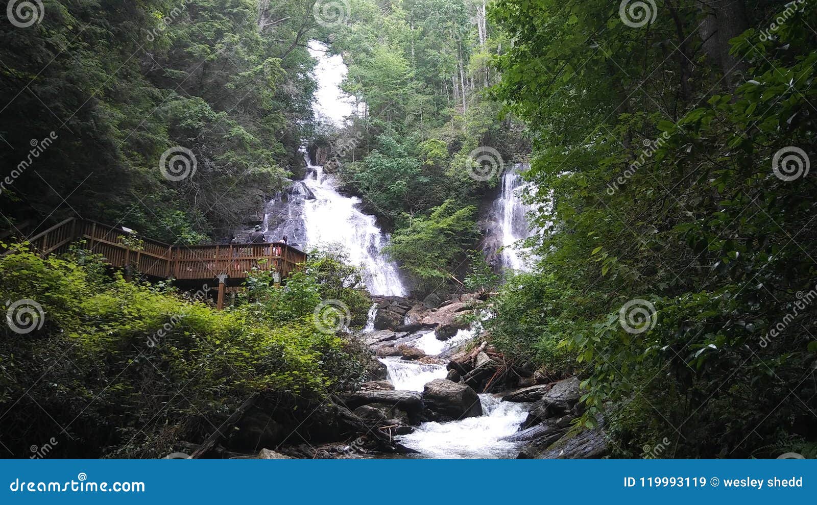 Anna Ruby Falls, Georgia stock image. Image of cascades - 119993119