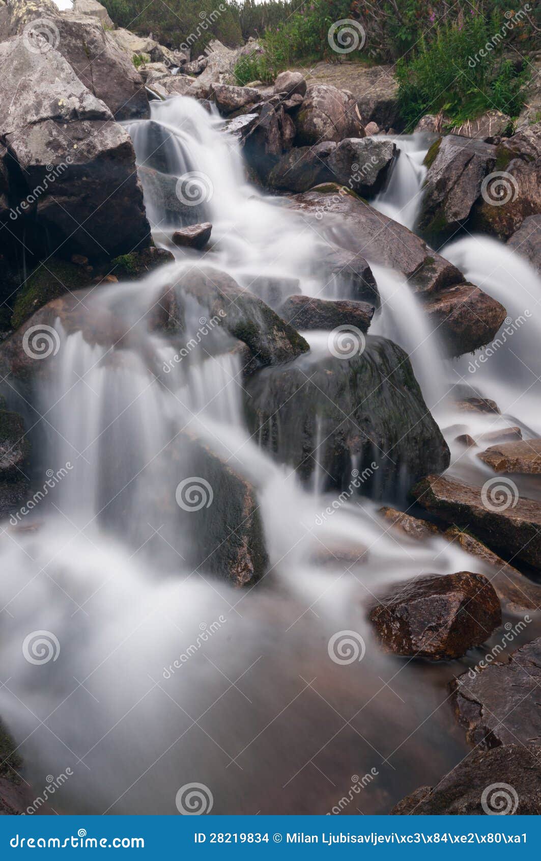 Cascades of Mountain Stream Stock Photo - Image of foam, pirin: 28219834