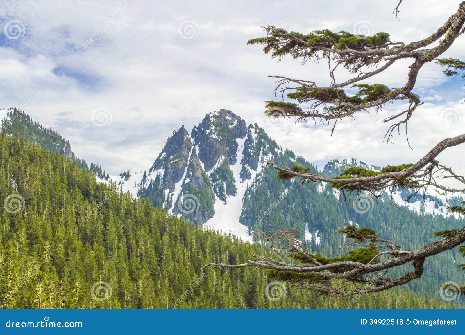 Cascades. stock photo. Image of mountains, state, evergreen - 39922518