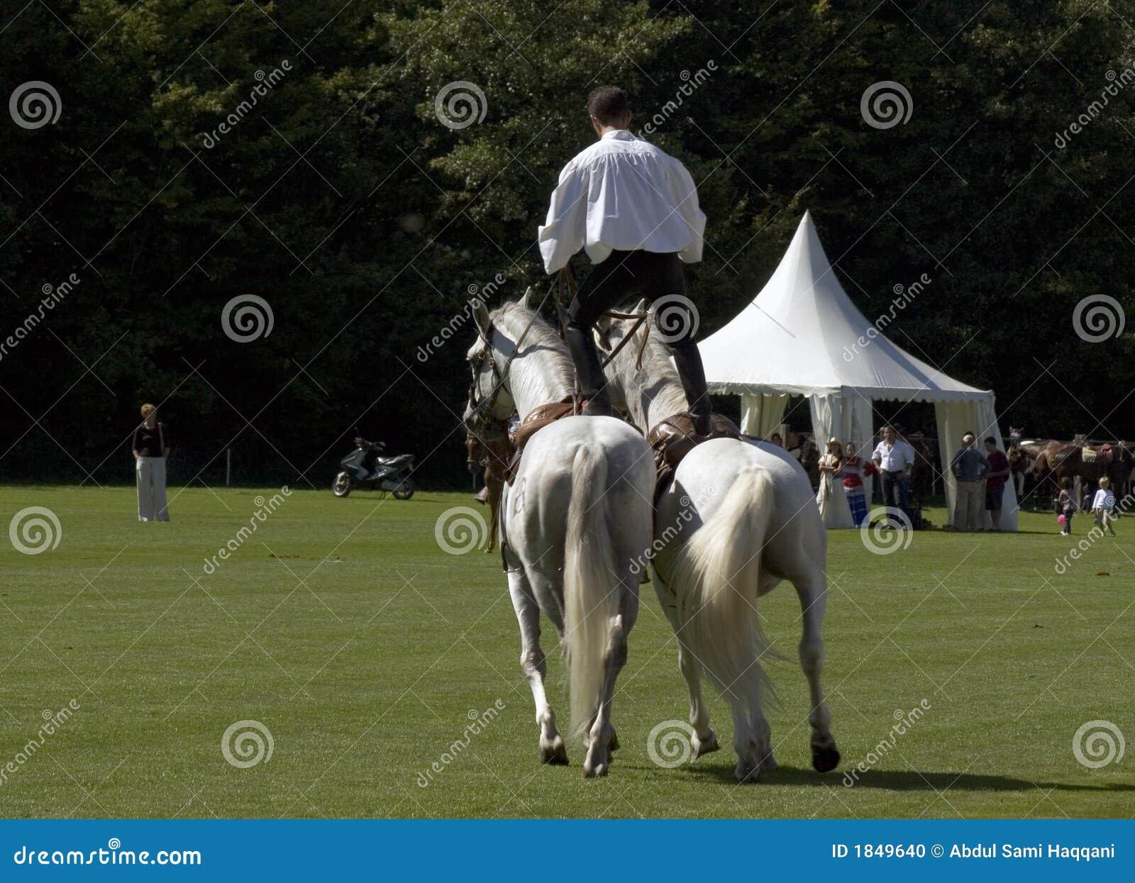 Cascadeur sur des chevaux photo stock. Image du poneys - 1849640