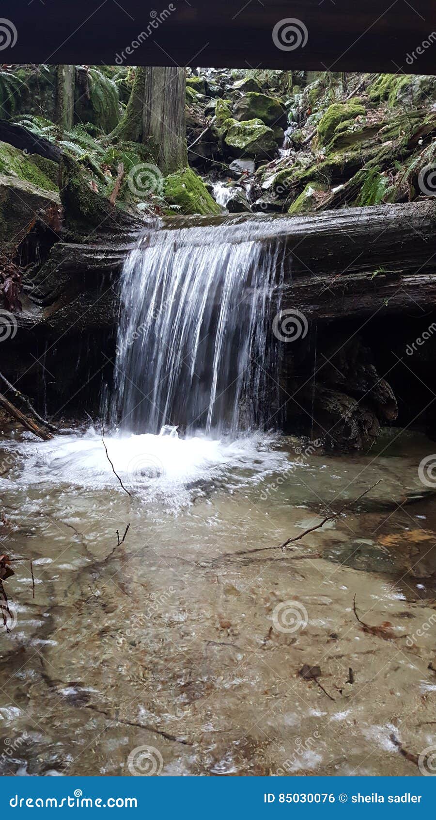 Cascading falls stock photo. Image of calming, peaceful - 85030076