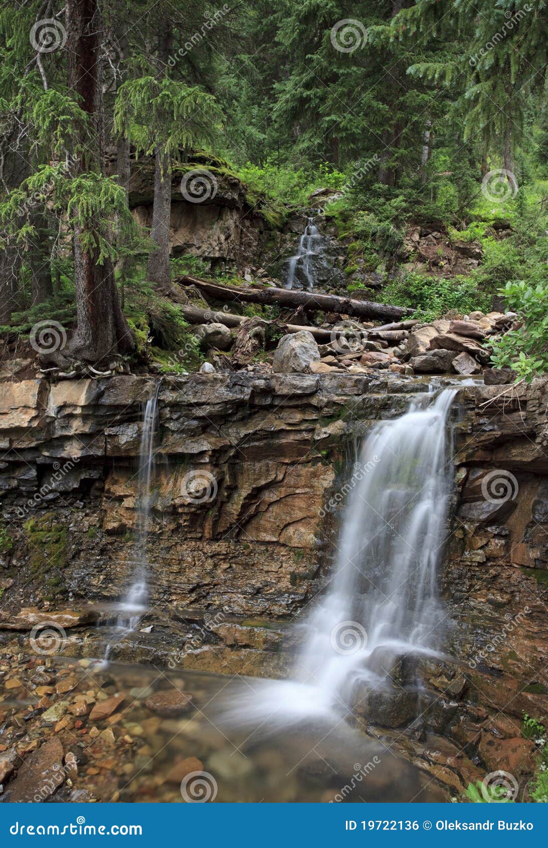 Cascading Forest Stream in Colorado Mountains Stock Photo - Image of ...