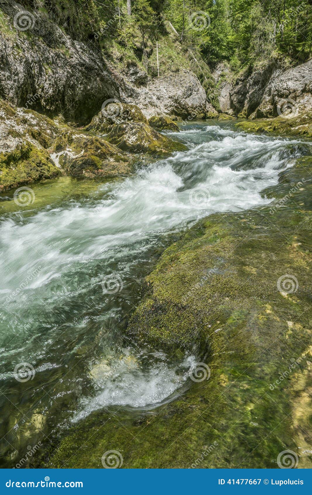Cascading mountain stream stock image. Image of landscape - 41477667