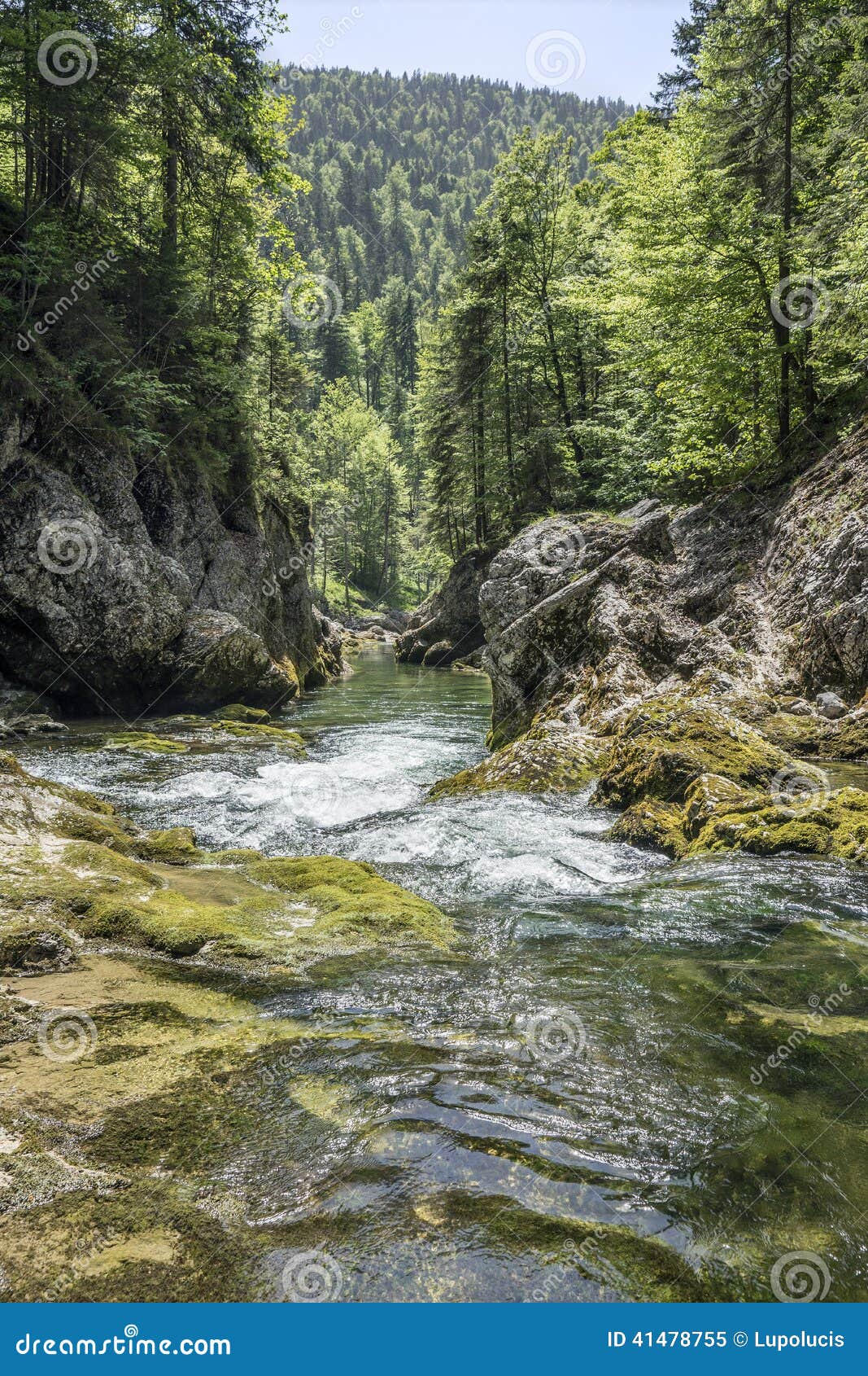Cascading mountain stream stock image. Image of flowing - 41478755