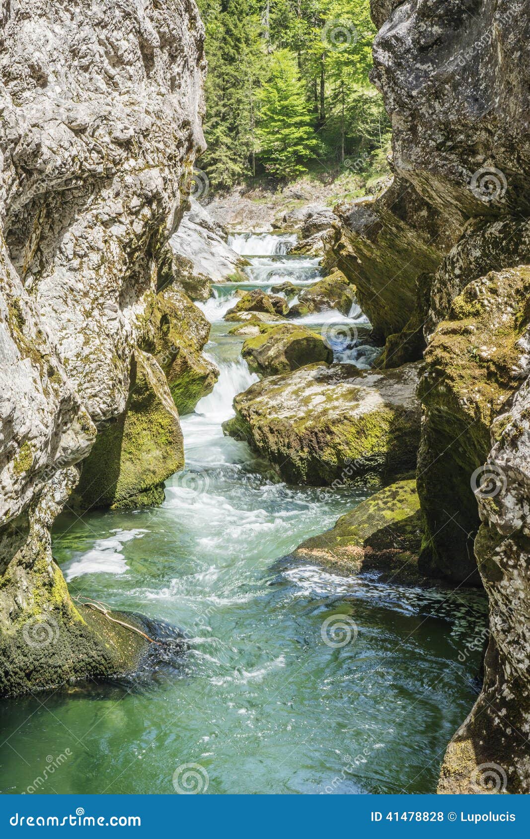 Cascading mountain stream stock photo. Image of clean - 41478828