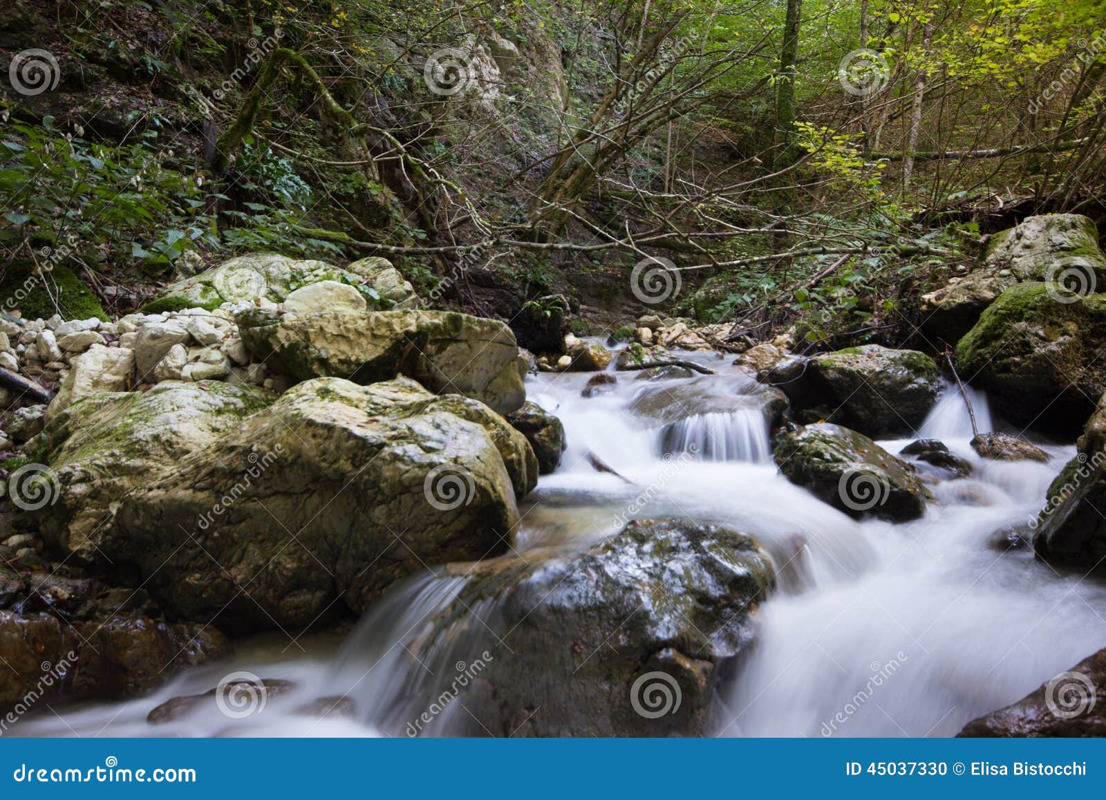 Cascading mountain stream stock photo. Image of nature - 45037330