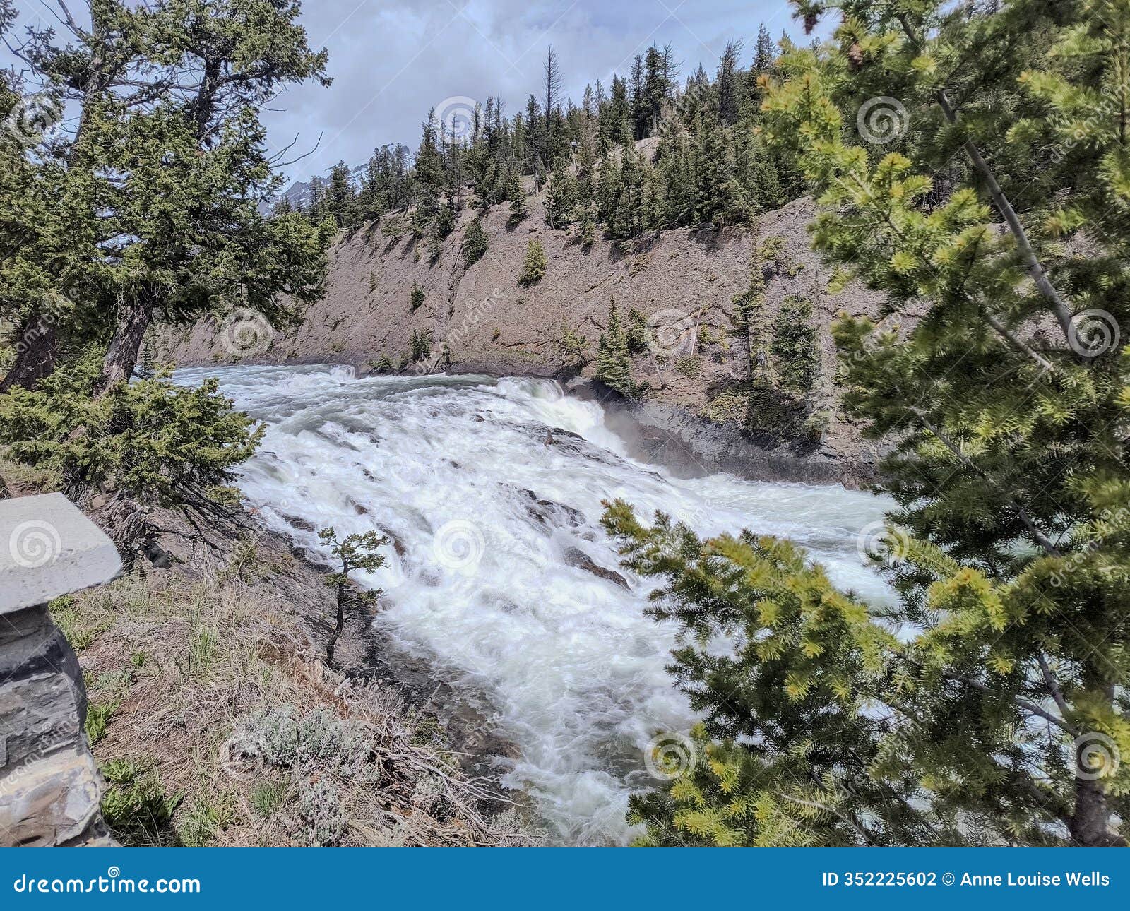 Cascading Rapids through Rocky Forested Canyon Stock Photo - Image of ...
