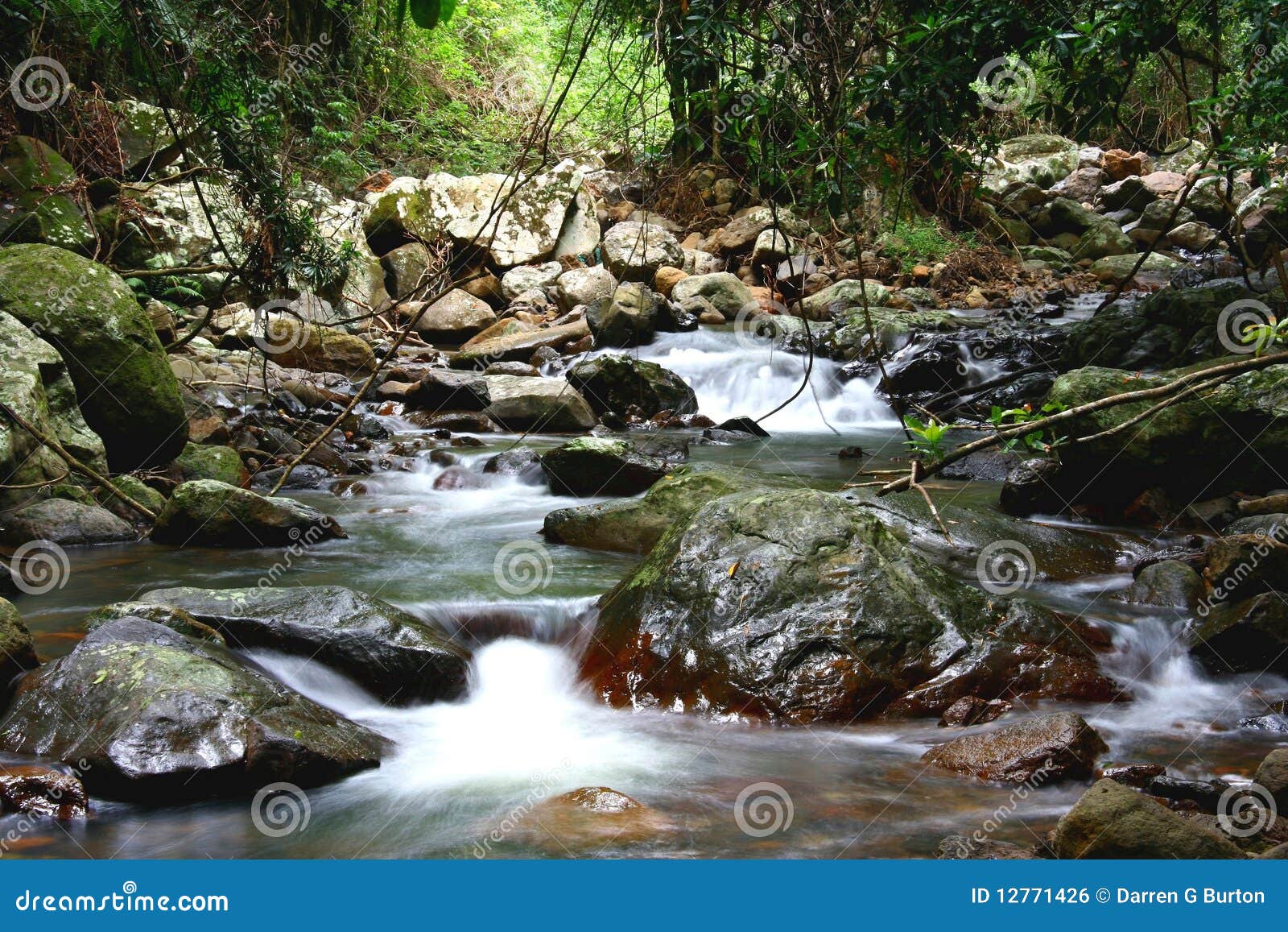 Cascading Stream stock photo. Image of cascades, nature - 12771426
