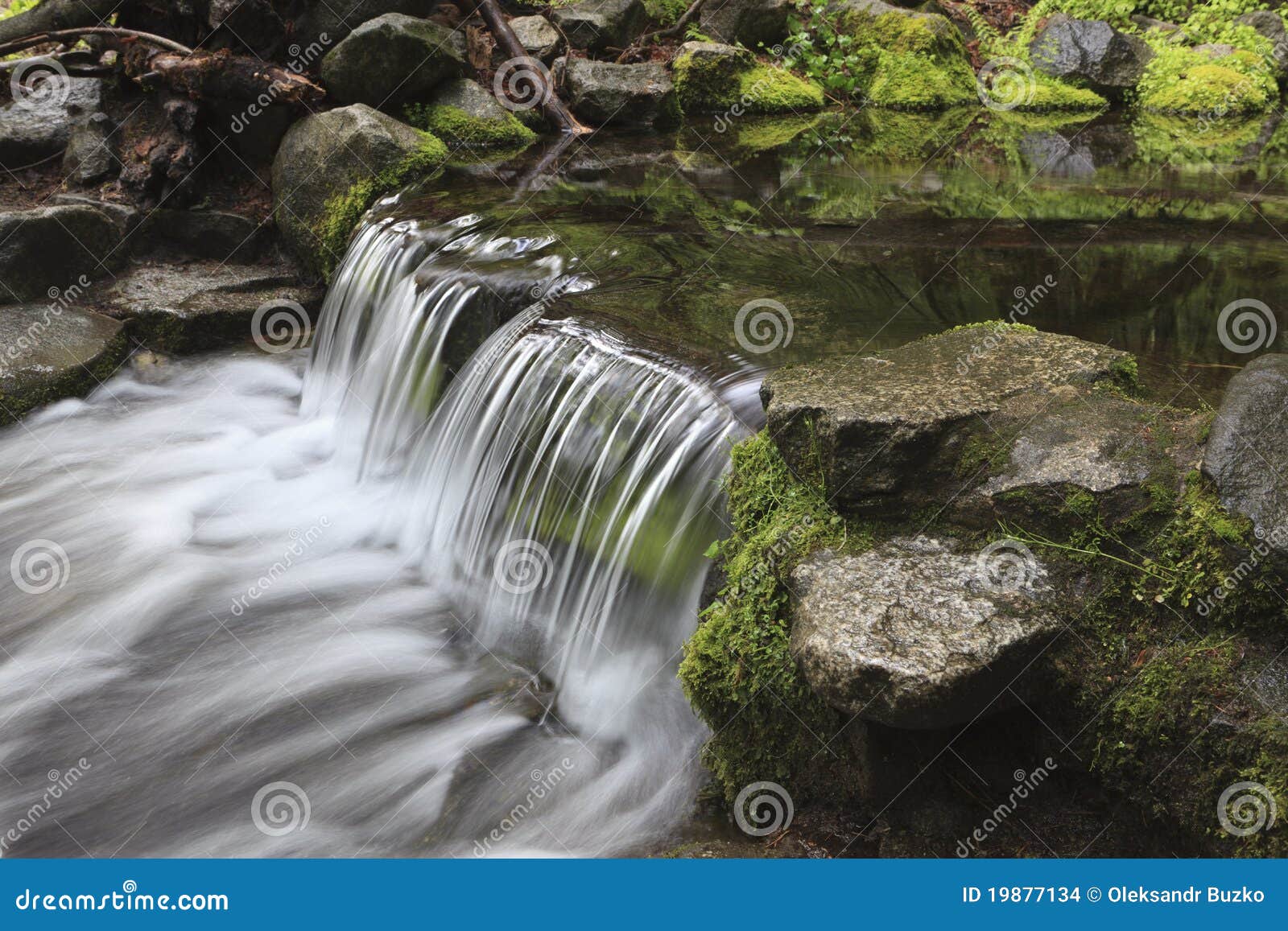 Cascading Stream in a California Forest Stock Photo - Image of ...