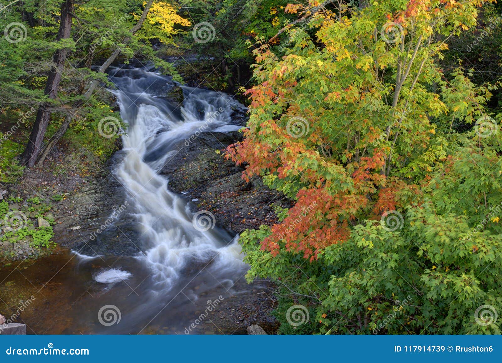 Cascading Stream in a Fall Forest Stock Image - Image of babbling ...