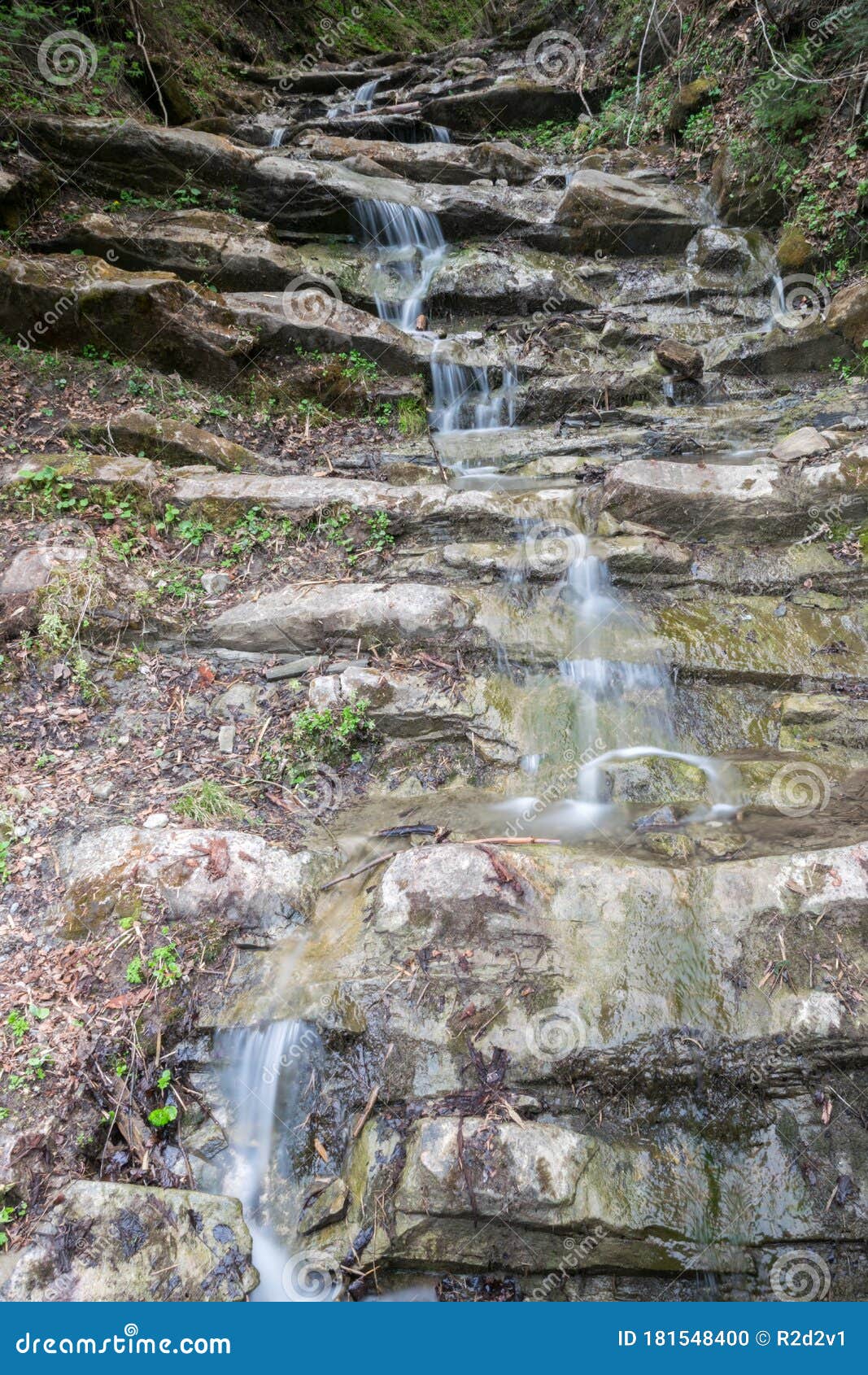 Cascading Stream in the Forest Stock Photo - Image of brown, shot ... Cascading Stream in the Forest Stock Photo - Image of brown, shot ...