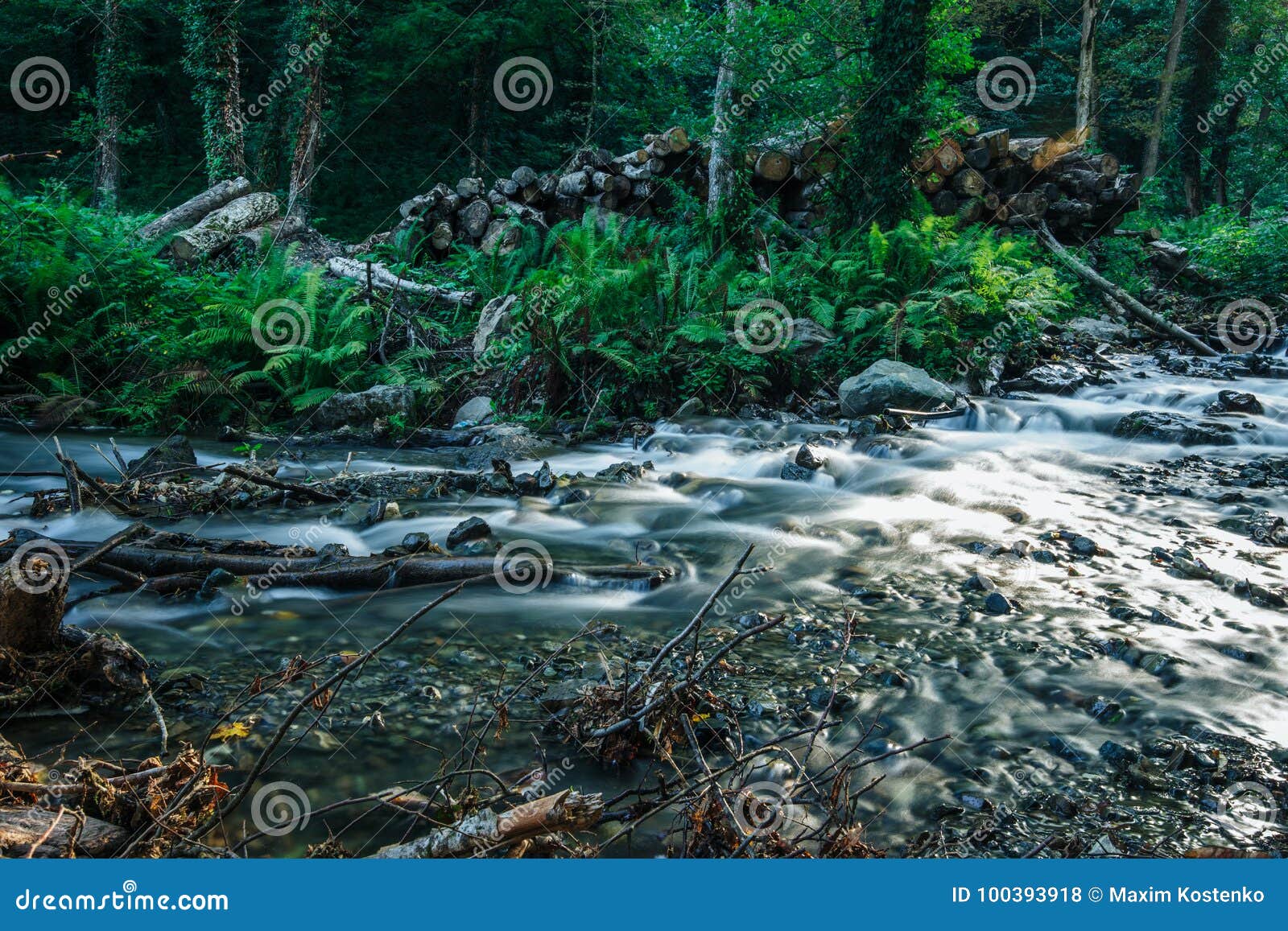 Cascading Stream in Mountain Forest Stock Photo - Image of natural ...