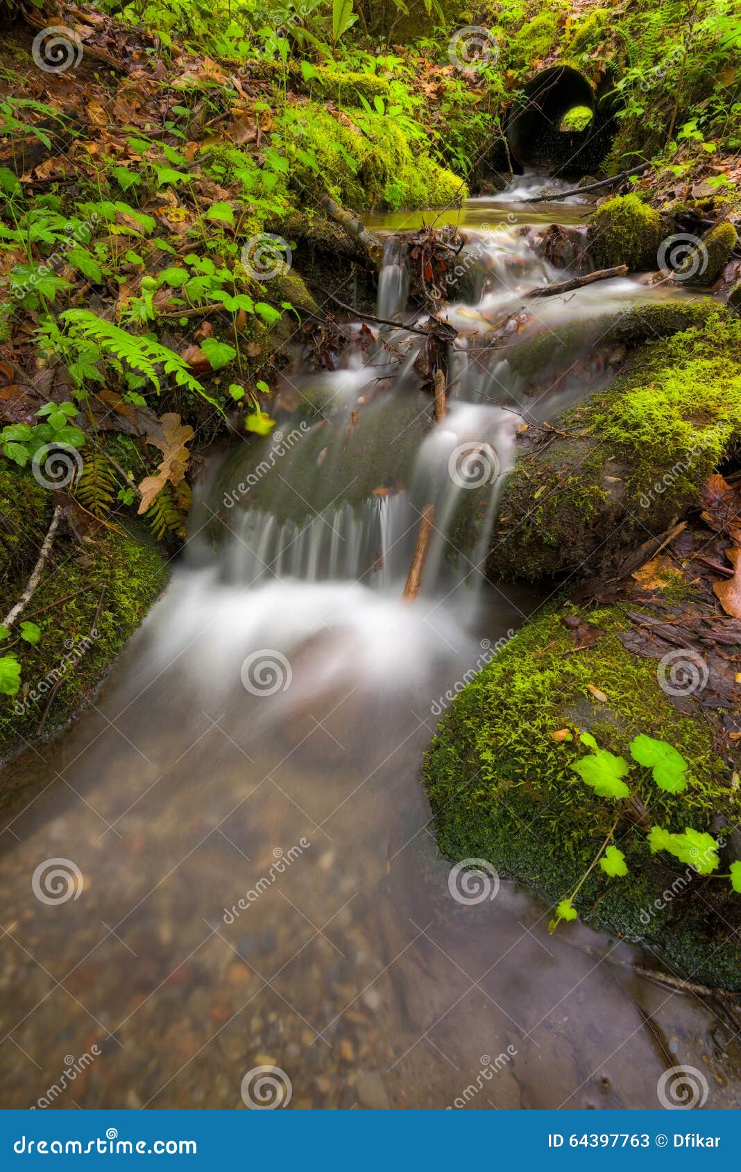 Cascading Stream in the Smokies Stock Image - Image of smokies ...